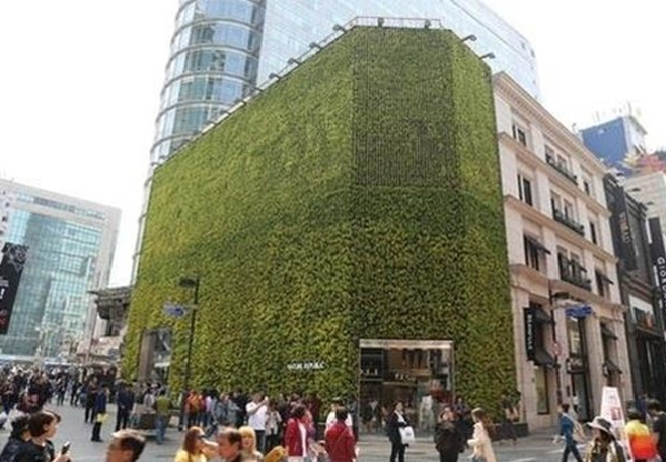 우리나라에서 가장 비싼땅 순위 : 네이버 블로그