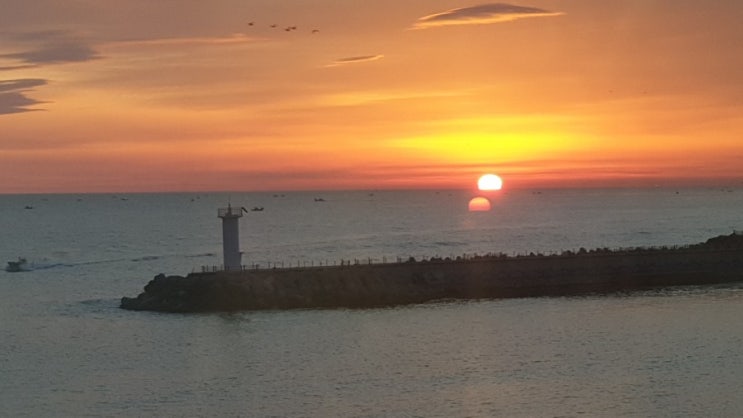 간질성폐질환,폐섬유화,특발성,NSIP,cop : 네이버 블로그