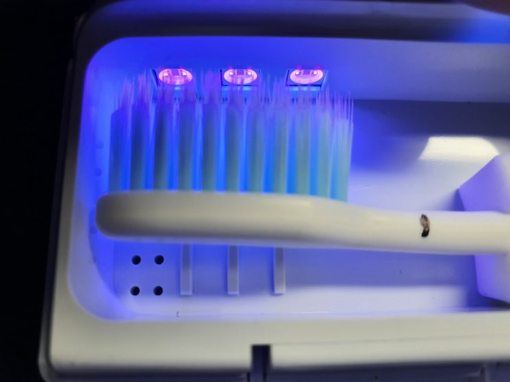 뉴에이지원 / 클리드 칫솔살균기 / UV LED / USB C TYPE / CLEED : 네이버 블로그