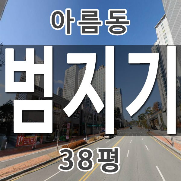 세종시아름동 범지기마을 3단지 경매 : 네이버 블로그
