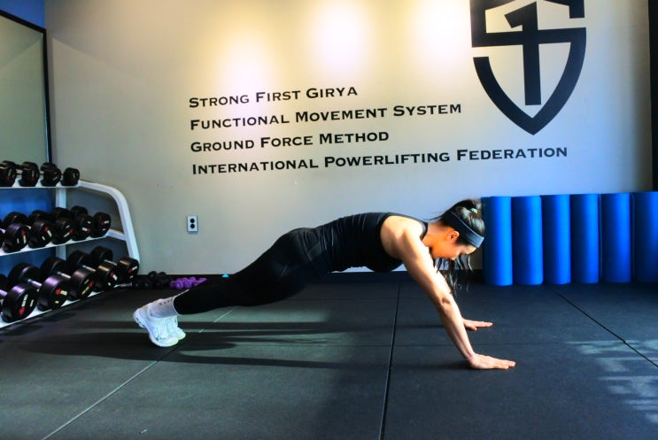 FMS테스트 (Functionnal Movement System)이란?몸통안정성푸쉬업(trunk stability push-up ...