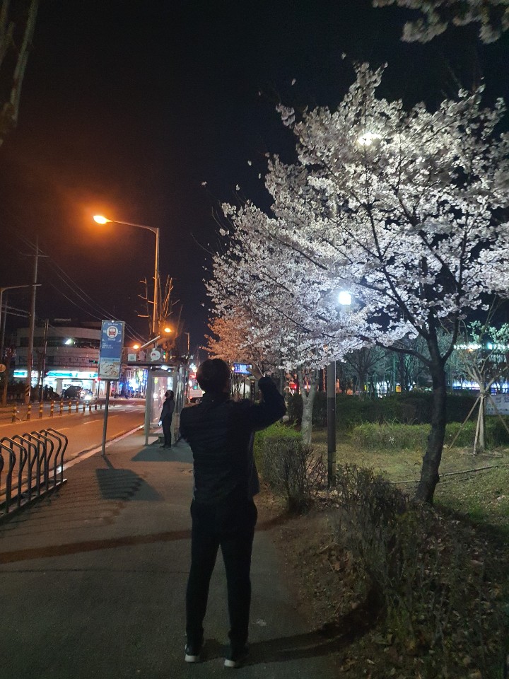 익산 어양동 생선구이 맛집달빛에 구운 고등어 부모님과 함께 딱 좋네요 네이버 블로그