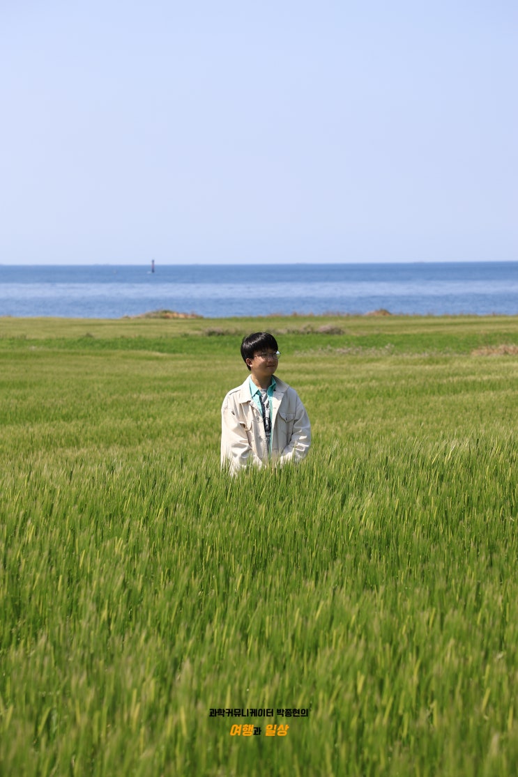 4월 국내여행 추천 가파도 청보리 Feat 운진항 배시간 네이버 블로그