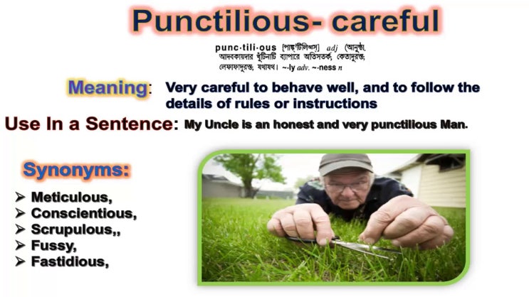 Punctilious 꼼꼼한 : 네이버 블로그