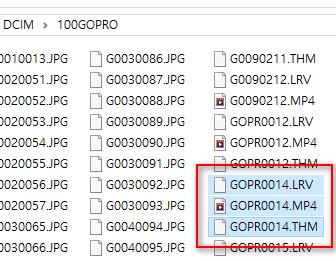 고프로 LRV THM 지워도 됩니까? GoPro 확장자 설명 : 네이버 블로그