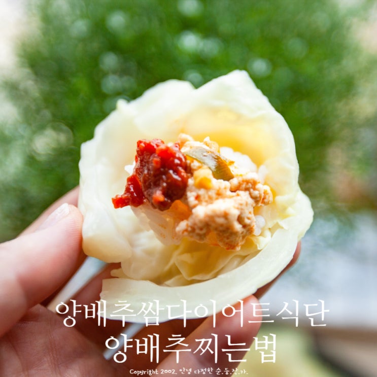 양배추 삶는법 찌는법 제일 좋아하는 다이어트 양배추 요리 양배추쌈 네이버 블로그