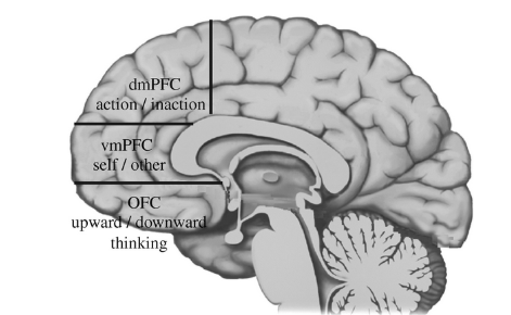 인지과학 뇌구조 설명; Dorsomedial prefrontal cortex(dmPFC)와 마음이론(theory of mind ...