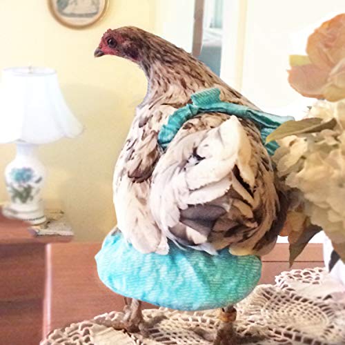[쇼핑365 아마존직구 추천상품] Chicken Diaper- Fashionable Nappy for pet hens or ...