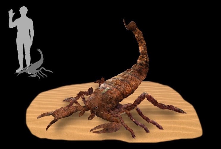 브론토스콜피오(Brontoscorpio)-거대전갈 : 네이버 블로그
