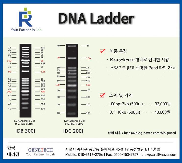 [라온] DNA Ladder : 네이버 블로그
