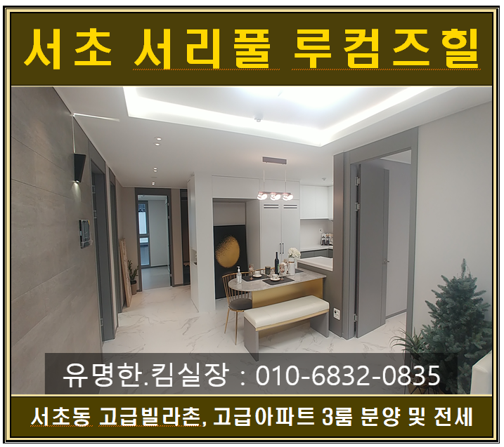 서초 서리풀 루컴즈힐 서초동 고급빌라 트라움하우스 바로 옆 신축 첫입주 고급아파트 3룸 분양 및 전세물건~~ 네이버 블로그