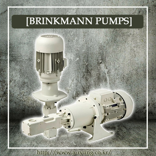 BRINKMANN PUMP : 네이버 블로그