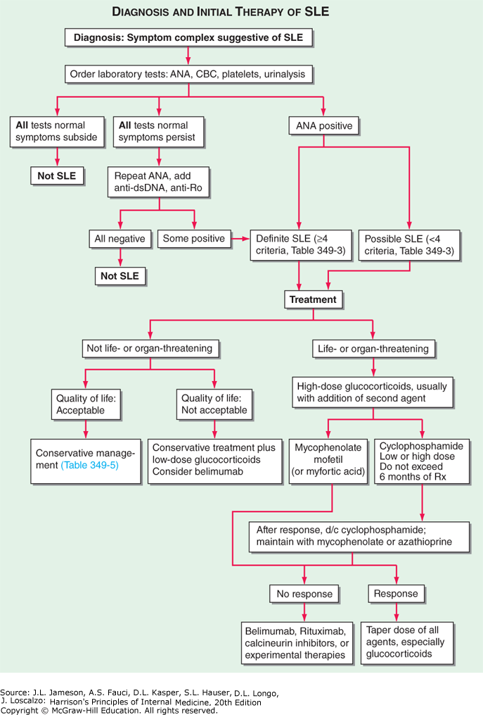 Algorithm for diagnosis and initial therapy of systemic lupus ...