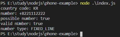 Nodejs(노드 js) 전화번호로 국가 코드 알아내기(libphonenumber-js) : 네이버 블로그