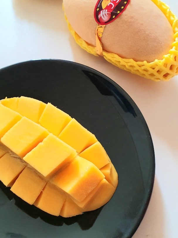 3차 최고급 망고 5kg 공구 (4/11~4/15) : 네이버 블로그