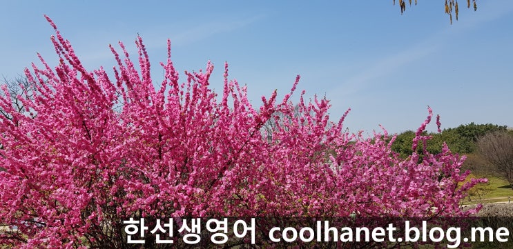송파 방이동 잠실 강동 중고등영어학원영파여고 창덕여고 동북고 보인고 영어 15 경찰대 영어 어휘시험 네이버 블로그