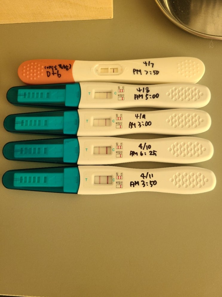 난임일기 시험관시술 3일배양 D5~11일차 임테기 노예 임신테스트기 확인 네이버 블로그