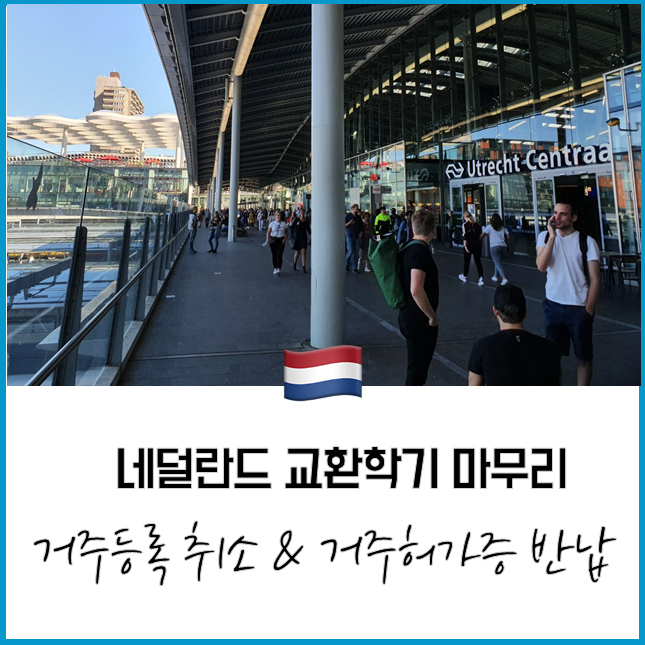 네덜란드 교환학생 교환학기 마무리 1 거주 등록 취소 및 거주허가증 반납 네이버 블로그
