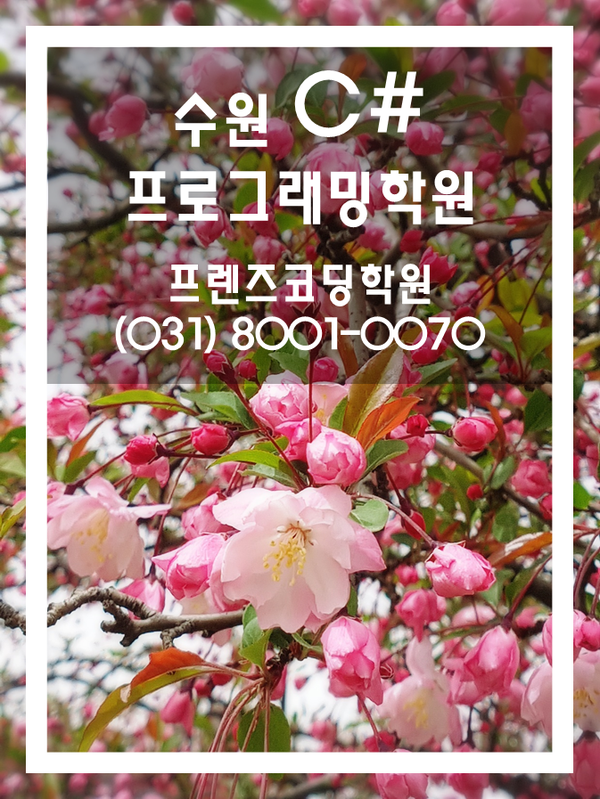 수원 C학원 C 프로그래밍 소개 의왕 군포 안양 병점 오산 동탄 화성 용인 영통 프로그래밍학원 네이버 블로그