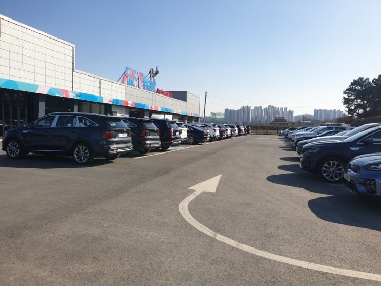 팰리세이드 신차패키지 왜 올댓이야 네이버 블로그