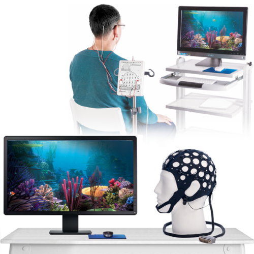 Neuron-Spectrum 4/P NFB 뉴런스펙트럼 정량화 뇌파 EEG/QEEG & 뉴로피드백 / 뇌파측정 / 뇌파검사 ...