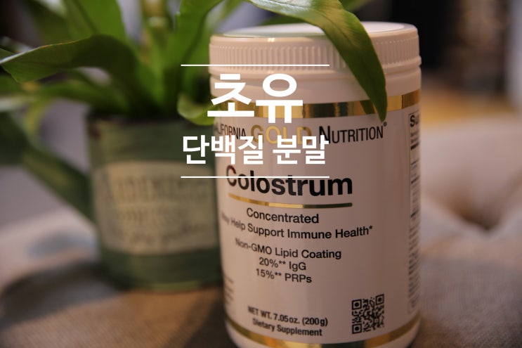 초유 단백질 분말의 효능 및 추천제품 초유 면역글로불린 락토페린 네이버 블로그