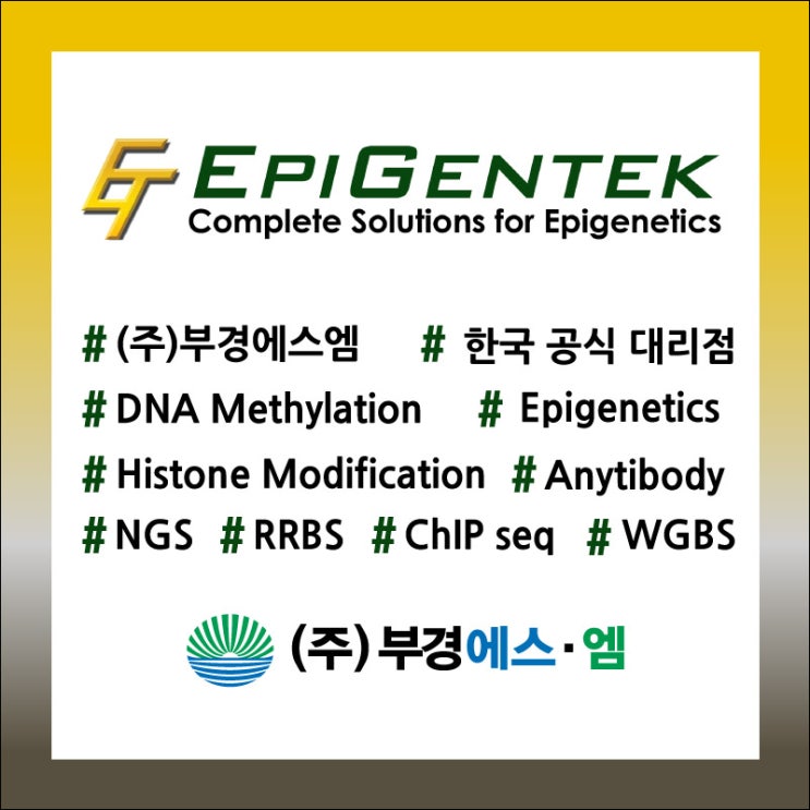 [부경에스엠] Epigentek 기업 및 제품 소개 #1 Methylation / Epigenetics / Histone ...
