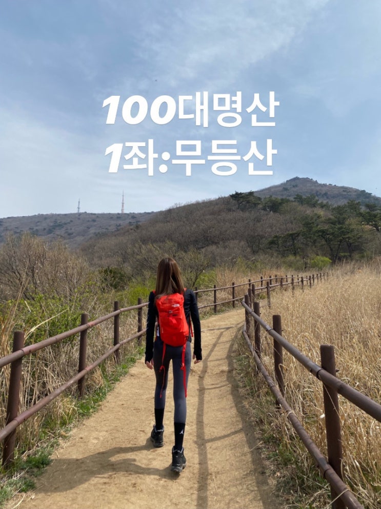 ⛰100대명산무등산 증심사 당산나무 중머리재 장불재 입석대 서석대 코스 네이버 블로그