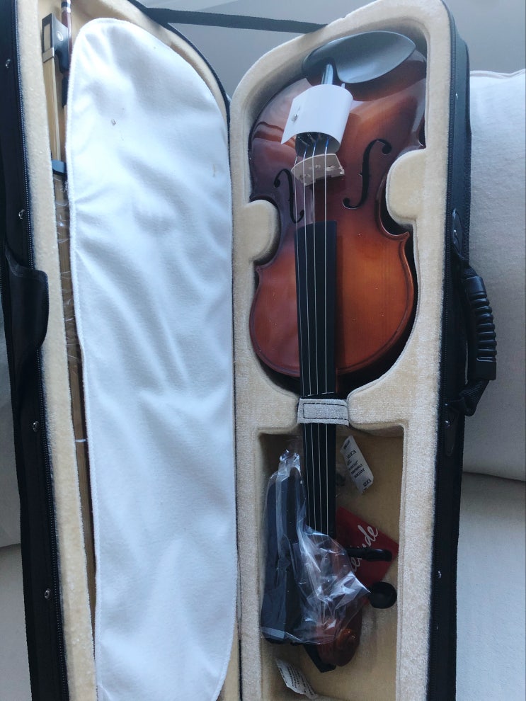 입문용 바이올린 세실리오 Cecilio Violin 언박싱 : 네이버 블로그