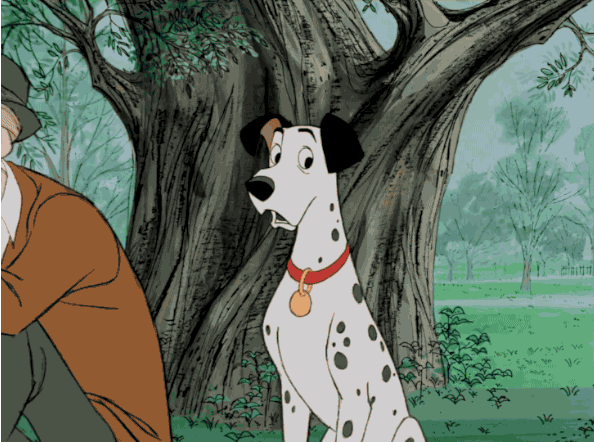 101마리 달마시안, 아날로그 감성 : 네이버 블로그