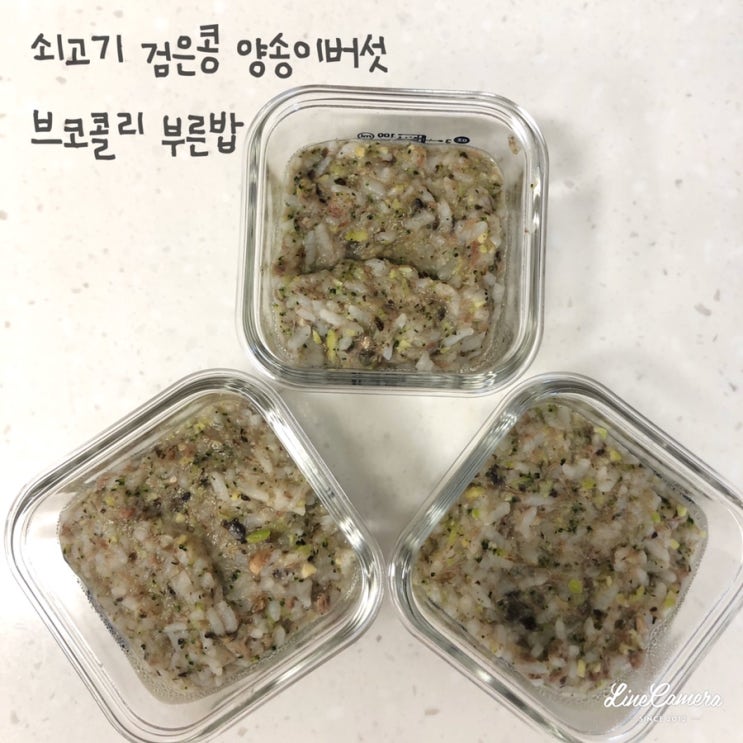 9개월 아기 후기 이유식 소고기 검은콩 양송이버섯 브로콜리 무른밥 네이버 블로그