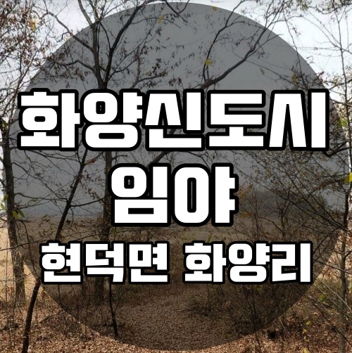 평택 화양신도시 시가화예정용지 현덕면 화양리 임야 매매합니다 네이버 블로그