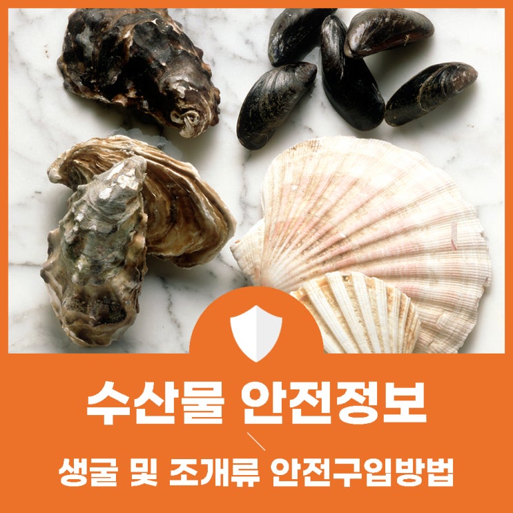 [수산물안전정보]생굴 및 조개류의 안전한 구입 방법 : 네이버 블로그