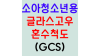 의학용어 글라스고우 혼수척도 Gcs Glasgow Coma Scale 의식상태 평가 네이버 블로그