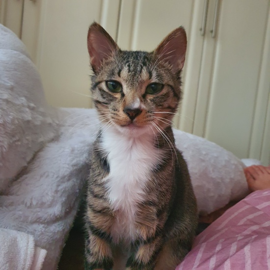 2. 2020 4/19 - 4/21 : 네이버 블로그