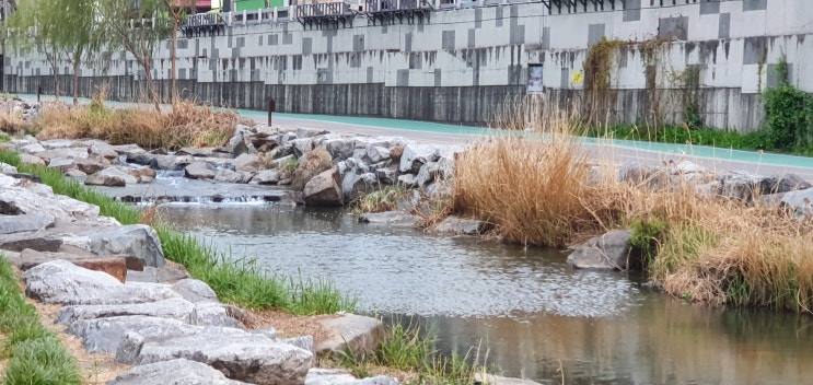 안전확인대상생활화학제품의 안전기준공통기준 네이버 블로그