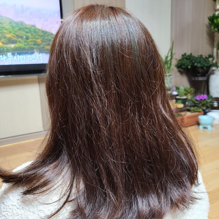 롯데마트 염색약 엘라스틴 살롱드컬러 밝은갈색 염색 후기 발색 네이버 블로그