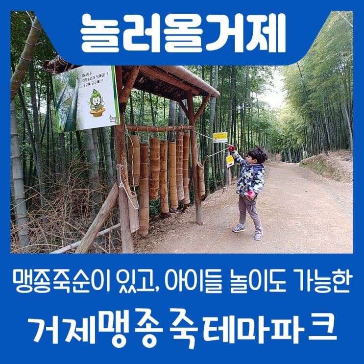 맹종죽순이 있고, 아이들이 신나하는 놀이도 있는 맹종죽테마파크 : 네이버 블로그