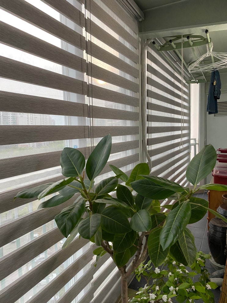 노원구 커튼 블라인드 강력추천 노원구 상계동 상계주공11단지 베란다 블라인드 작은방 블라인드 콤비블라인드 그레이 색상 제작