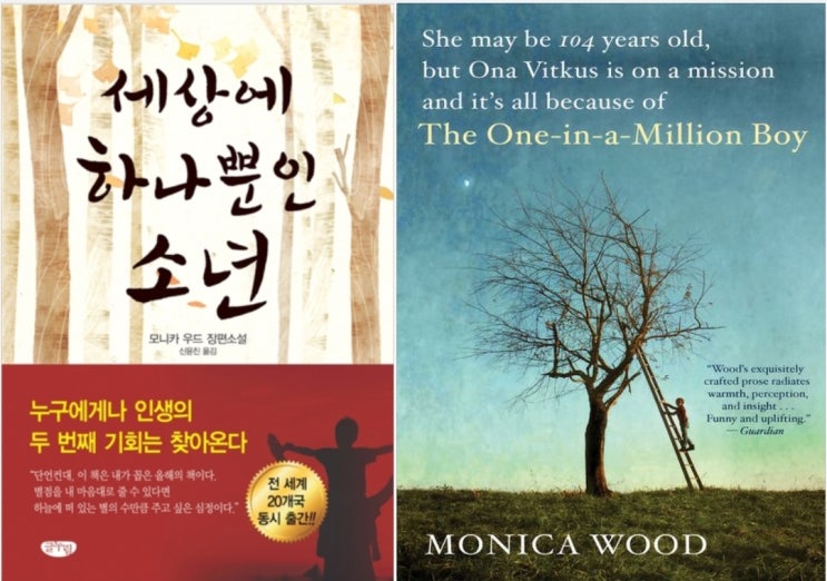 The One-in-a-Million Boy (서울도서관 eBook) : 네이버 블로그