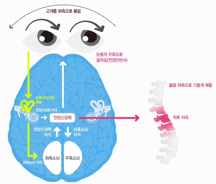 너 어딜 보니 여길 봐야지 아래를 잘 못 보는 아이 감각통합과 시각처리의 문제 네이버 블로그