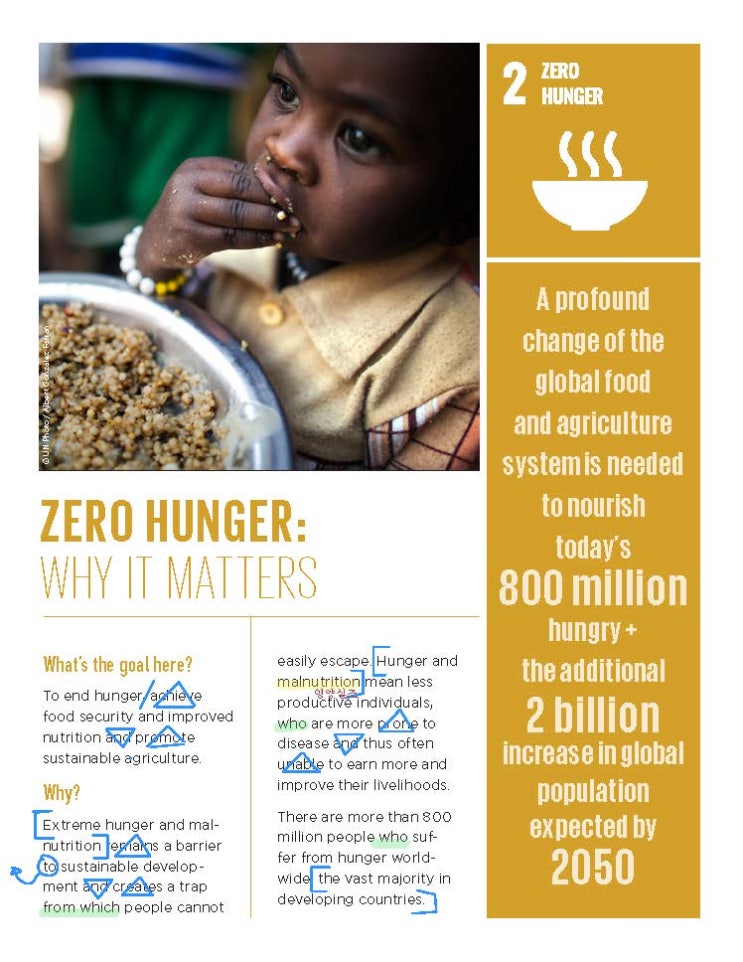 Zero hunger : Why it matters? [경복고 고2 추가자료]-경복고,상명여고,배화여고,서울예고 내신 영어 추가 ...