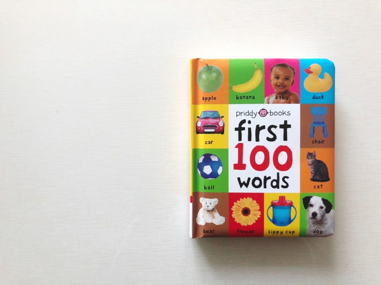 First 100 words -priddy books : 네이버 블로그