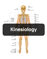 운동학은 왜 영어로 'Kinesiology'일까? : 네이버 블로그