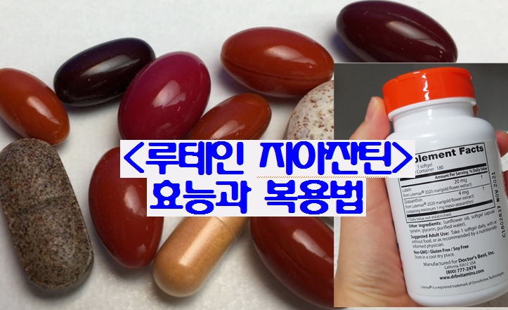 루테인 효능＆음식＆복용법 지아잔틴과 함께 먹어야 네이버 블로그