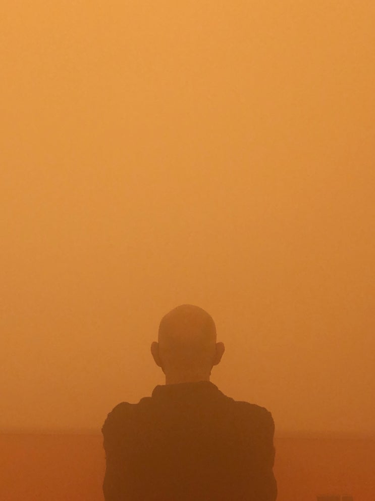 [#굿바이코로나19 명상팁] 경제학의 창시자 Adam Smith 의 Impartial Spectator 란? [온라인명상 ...