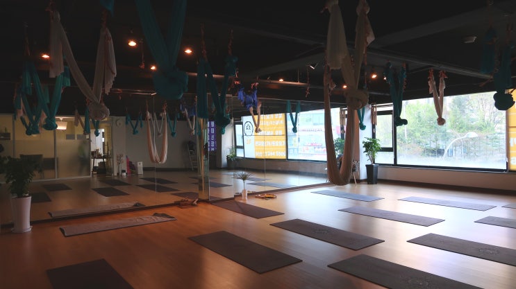 용인수지요가 요가정 한달 끊은 후기 상현동 필라테스 상현동 플라잉요가 네이버 블로그