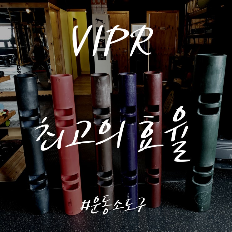 다이어트, 스포츠 퍼포먼스를 향상시킬 수 있는 전신운동 바이퍼(VIPR) : 네이버 블로그