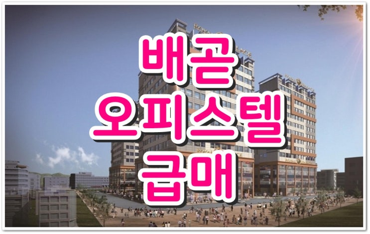 배곧신도시 로얄팰리스2차 2룸 테라스오피스텔 급매 네이버 블로그