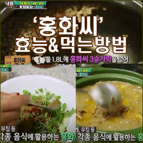♥ 관절 통증잡고 고밀도 높이는 뼈 회춘을 돕는 홍화씨어떻게 먹어야할까그 맛은주의사항은내몸사용설명서 101회
